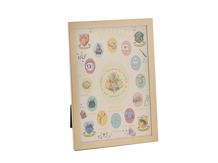 Harry Potter My first years frame - East Riding Engraving