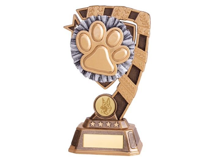 EUPHORIA DOG AGILITY TROPHY - East Riding Engraving